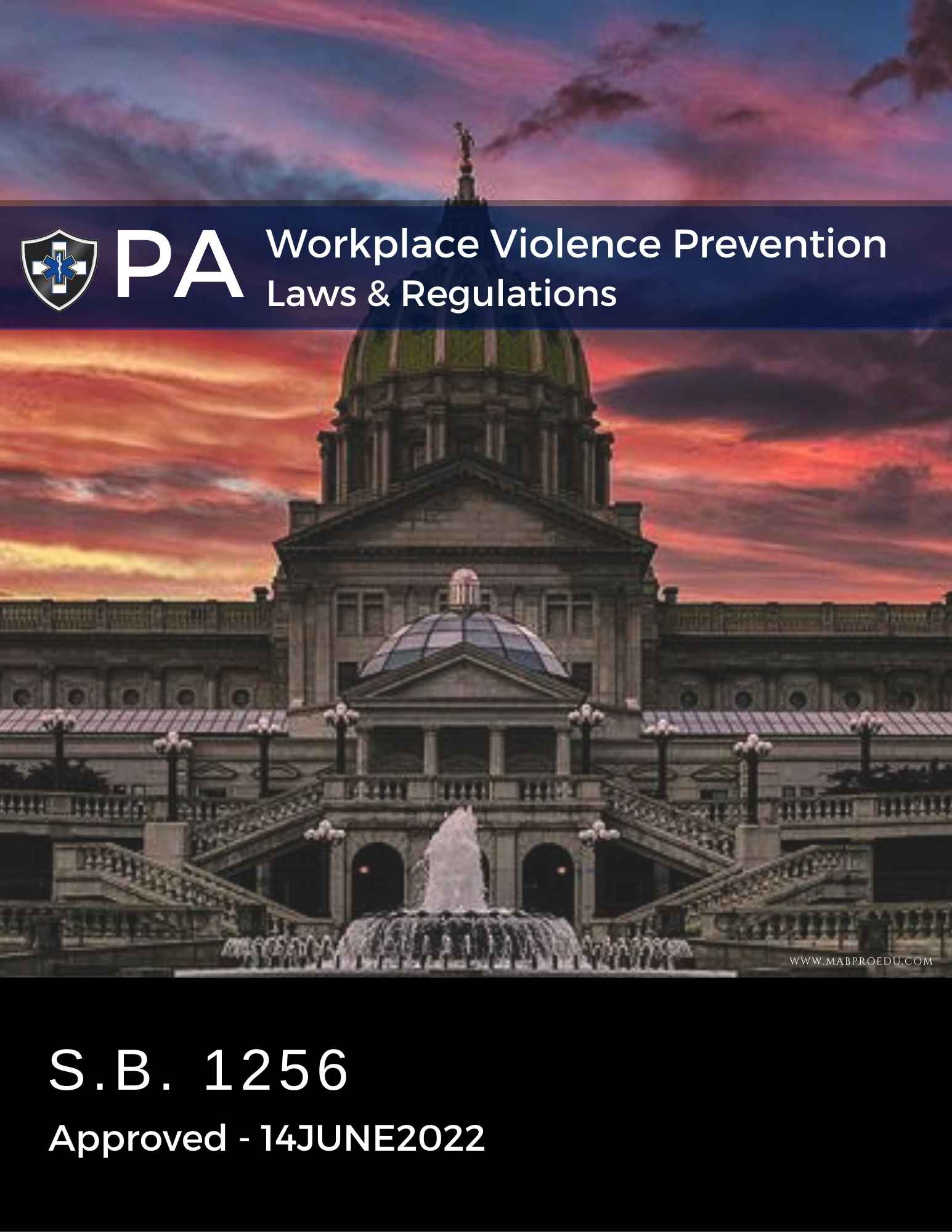 Pennsylvania Laws and Regulations - MABPRO